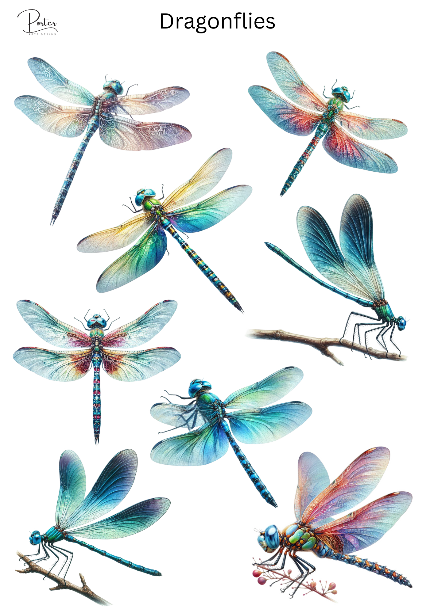*PRINTABLE* Dragonflies Sticker – Porter Arts Design