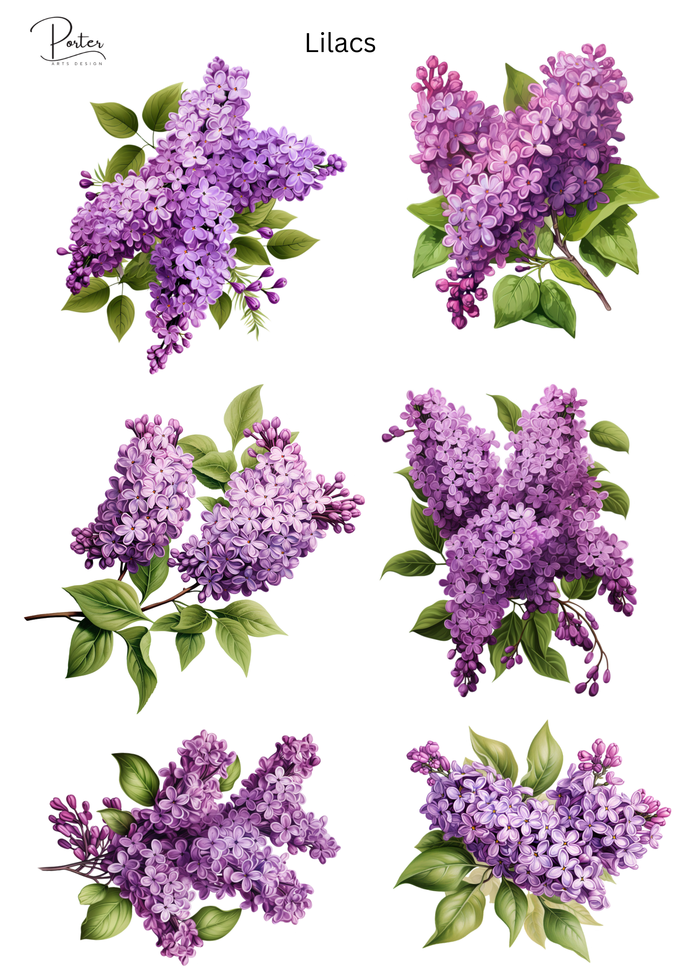 *PRINTABLE* Lilacs Sticker – Porter Arts Design